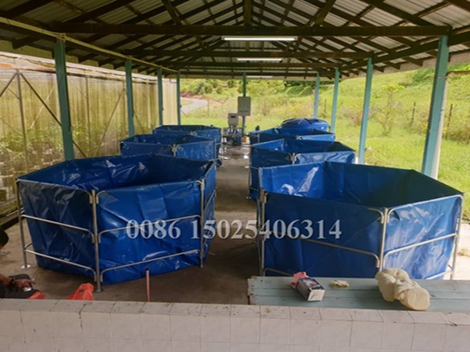 15 meter collapsible rectangle pvc tarpaulin outdoor fish ponds tilapia ...